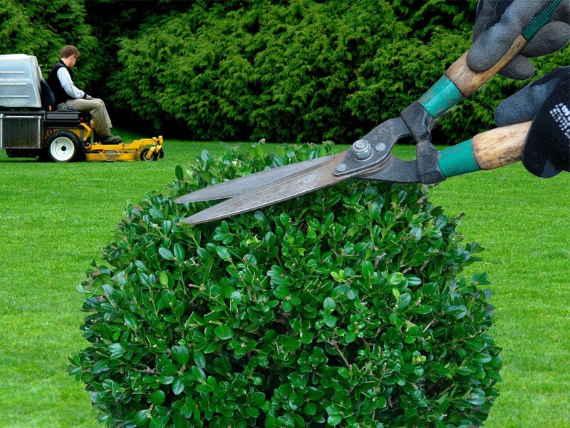 National Building Maintenance Facility Services | Command7